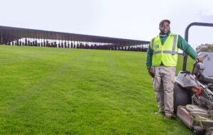 Landscaping Blog - Landscape Workshop