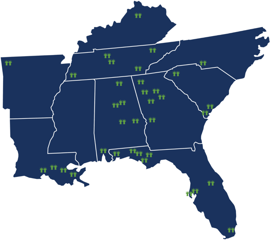 Landscape Workshop - Commercial Landscaping Services